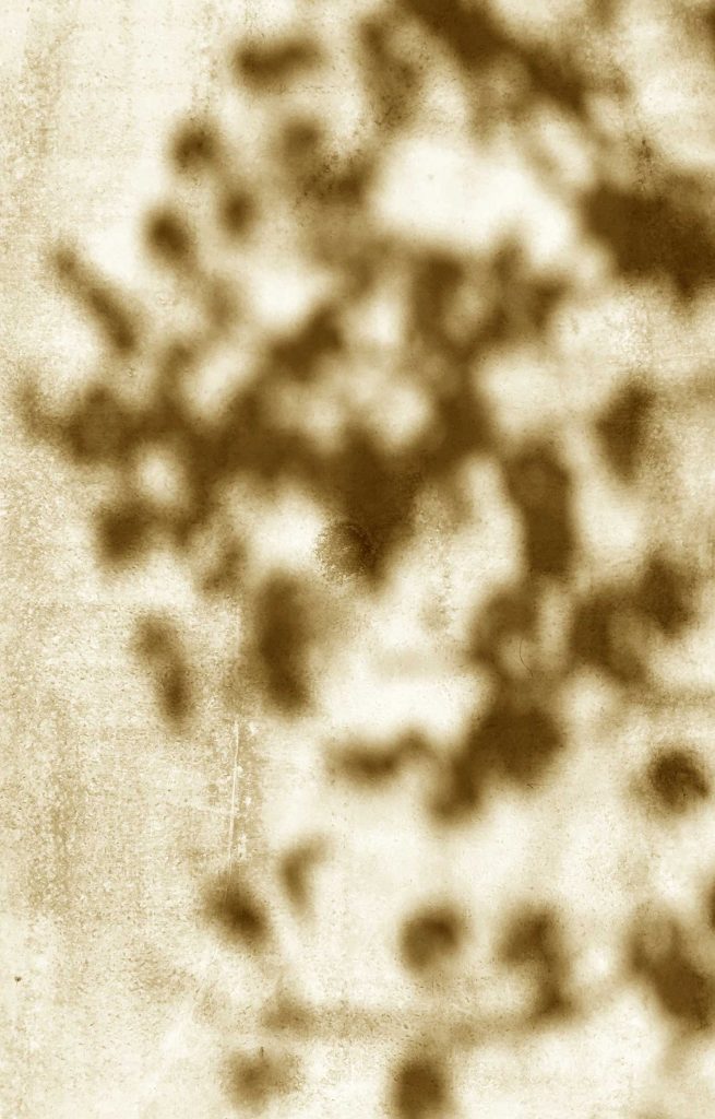 Tom&Lien-AdBlock – Light Up Poole